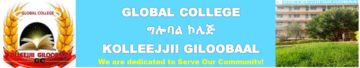 Ethiopian coders initiative Awareness for Global College Students and ...